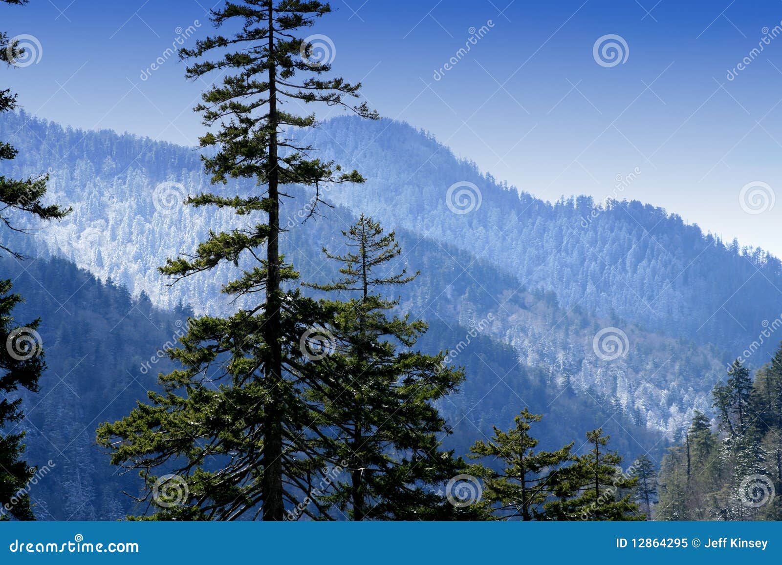 Newfound Gap stock image. Image of park, rural, cold - 12864295