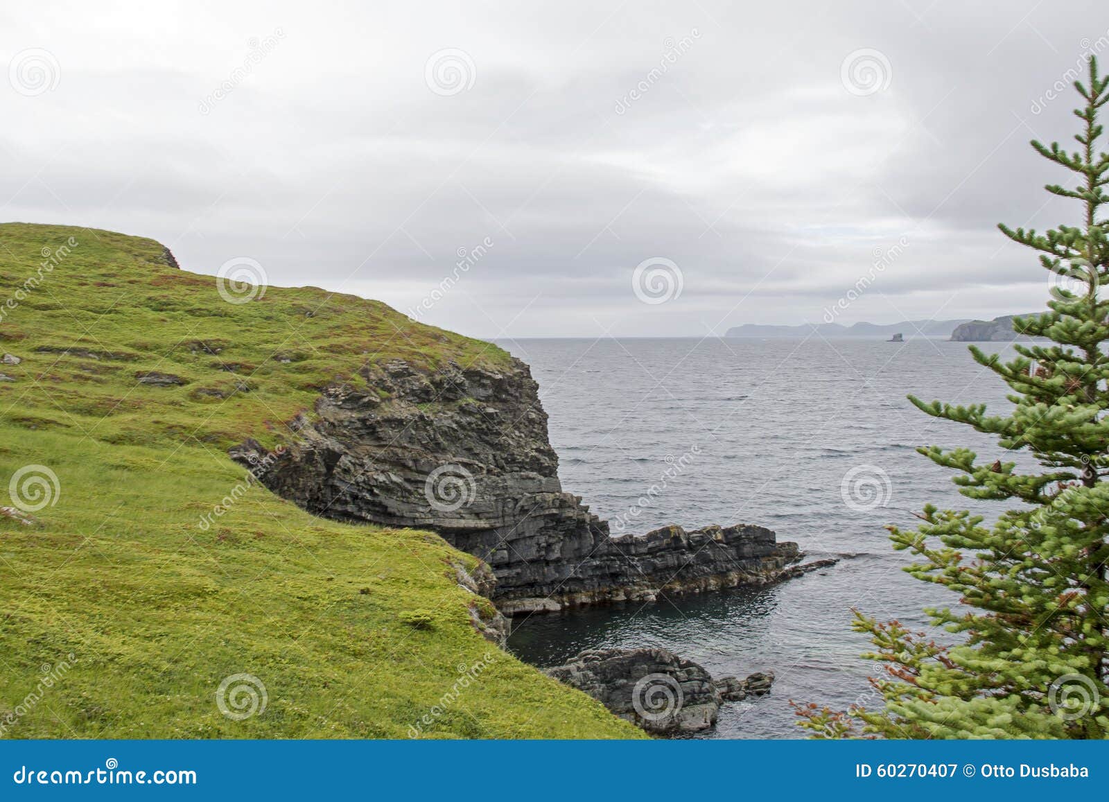 Newfoundland Coast by Trinity Bay Stock Image - Image of trinity ...