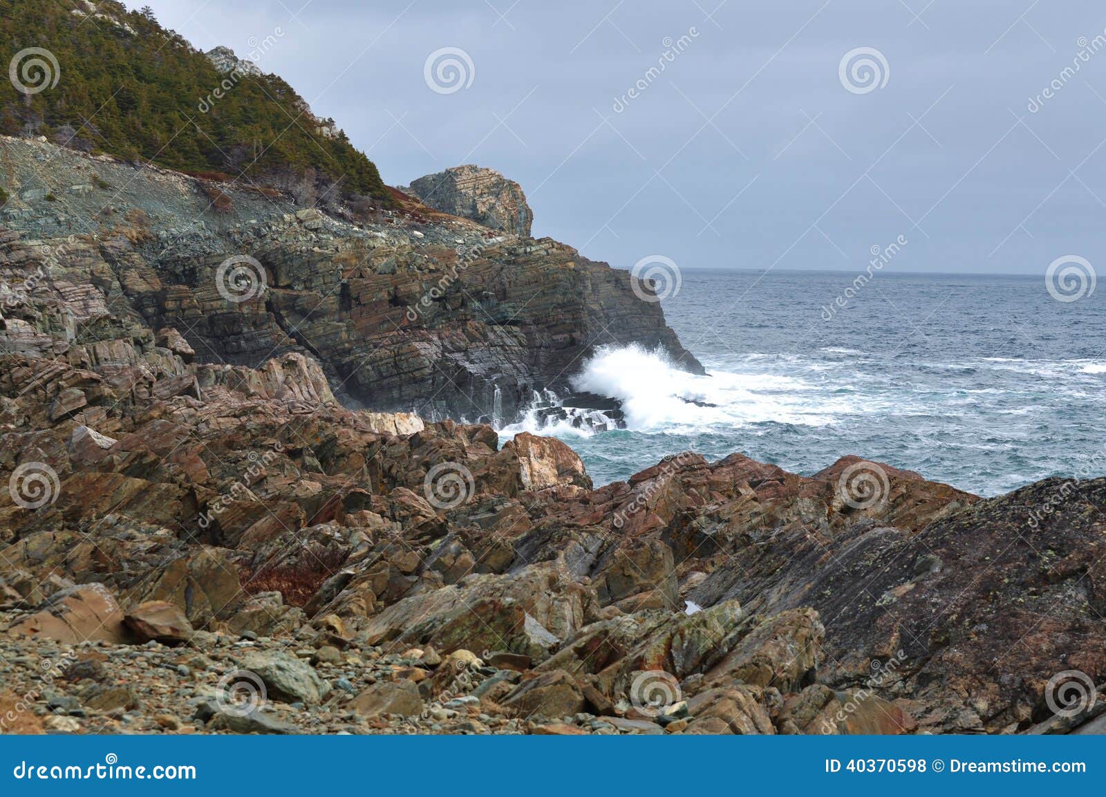Newfoundland coastline stock photo. Image of scenery - 40370598