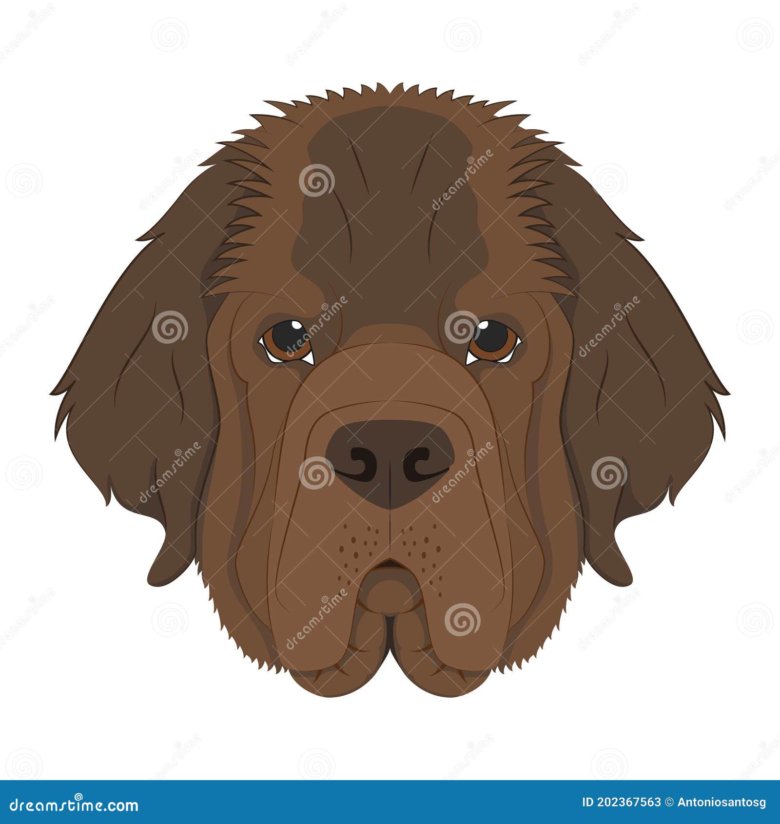 Newfoundland - Vector Illustration For T-shirt, Logo And Template ...