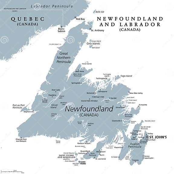 Island of Newfoundland, Gray Political Map, Newfoundland and Labrador ...