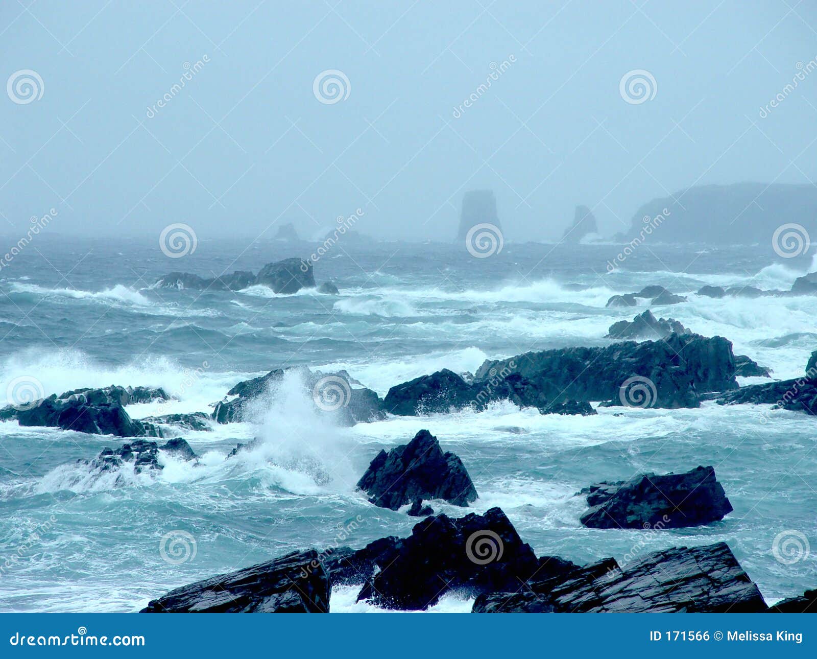 Newfoundland Ocean stock photo. Image of landscapes, water - 171566