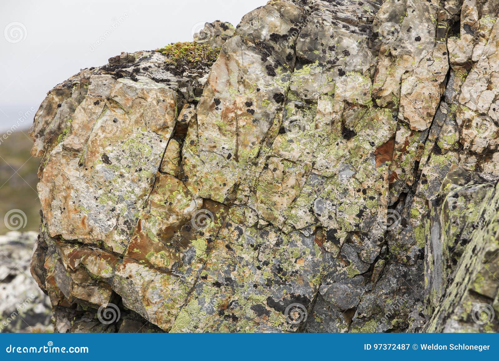 Newfoundland Rock with Lichens Stock Image - Image of lichens, outdoors ...