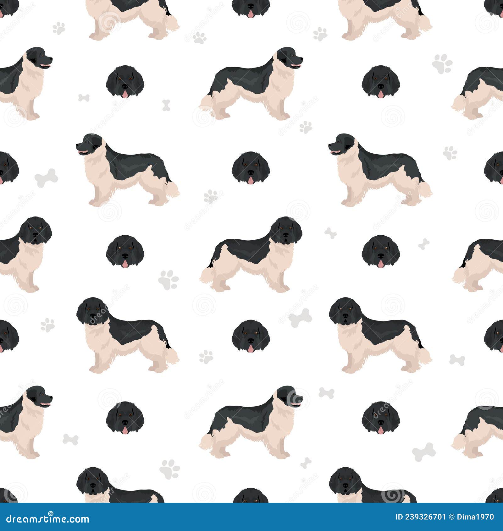 Newfoundland Seamless Pattern. Different Poses, Coat Colors Set Stock ...
