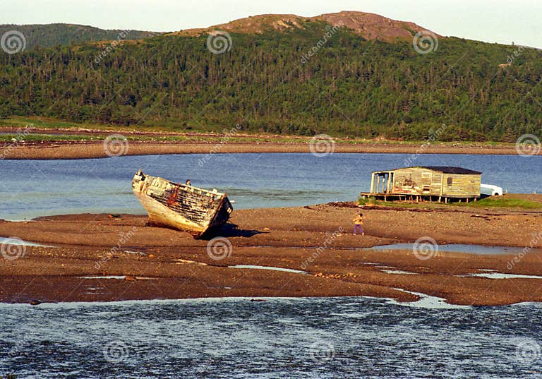 Newfoundland Shipwreck stock photo. Image of newfoundland - 4991488
