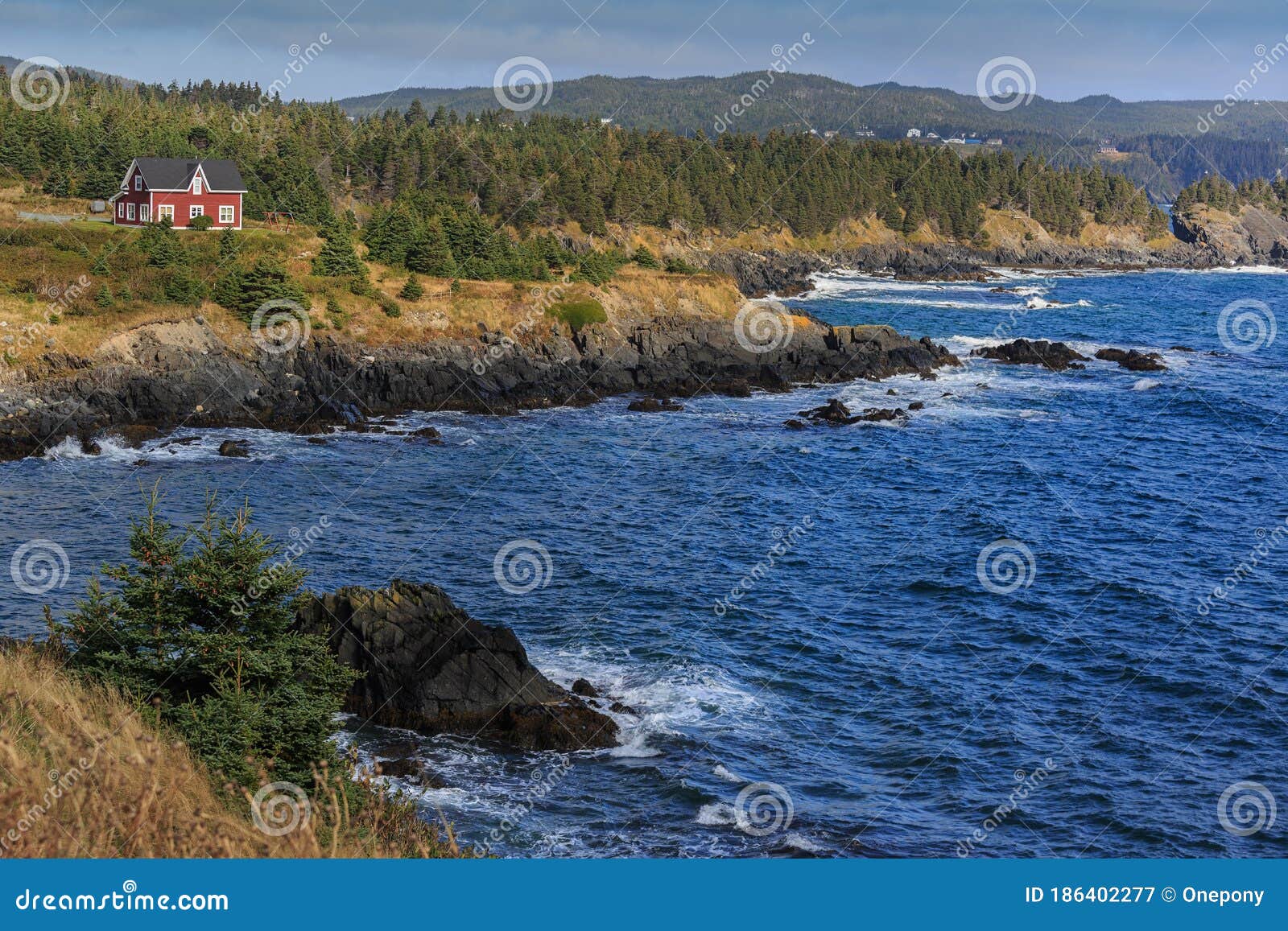 Newfoundland Shoreline stock image. Image of surf, water - 186402277
