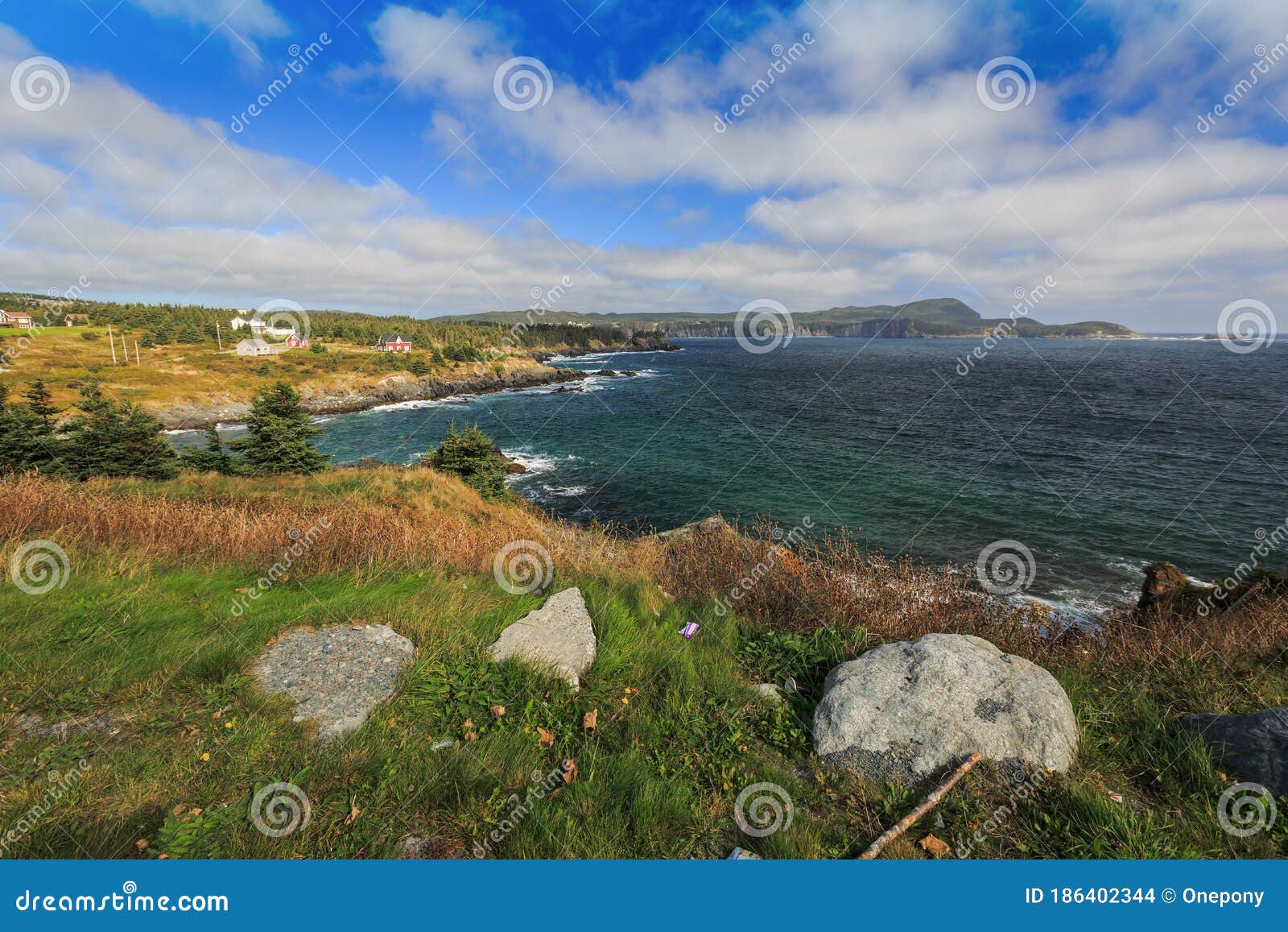 Newfoundland Shoreline stock photo. Image of rock, atlantic - 186402344