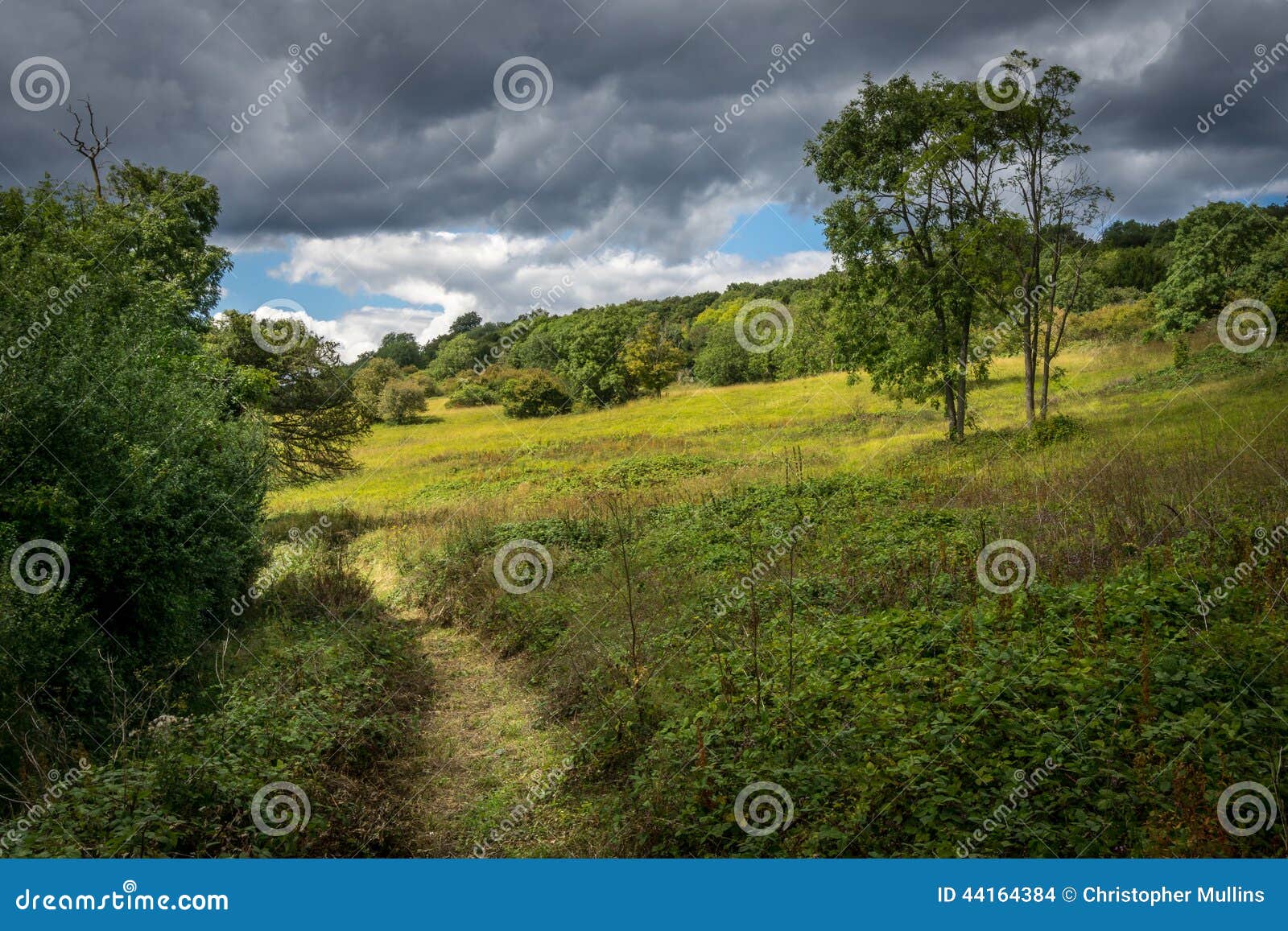Newlands Corner Path 2 stock photo. Image of grass, newlands - 44164384