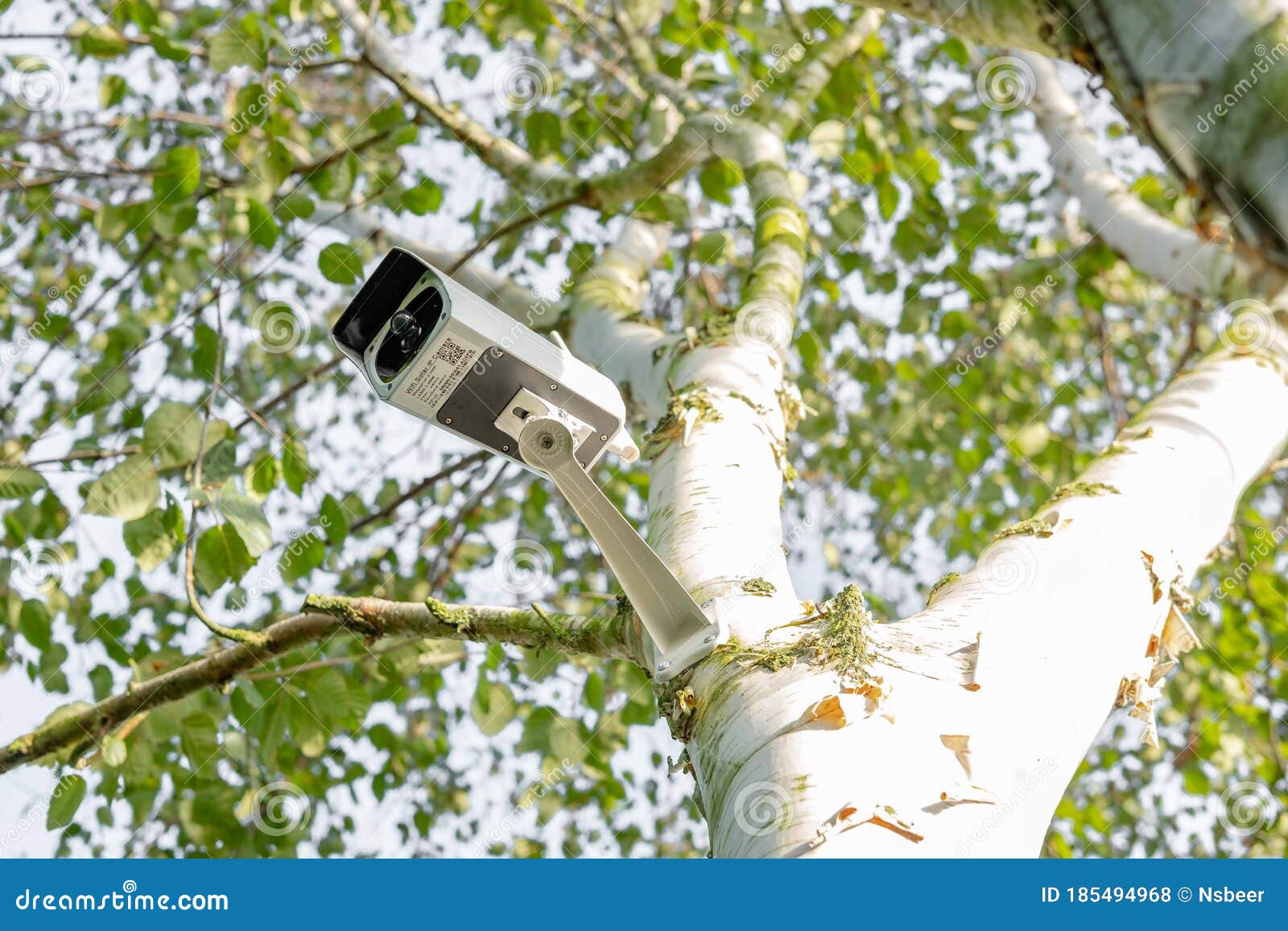 Newly Installed, 4K WiFi IP Security Camera Seen Up a Garden Tree ...