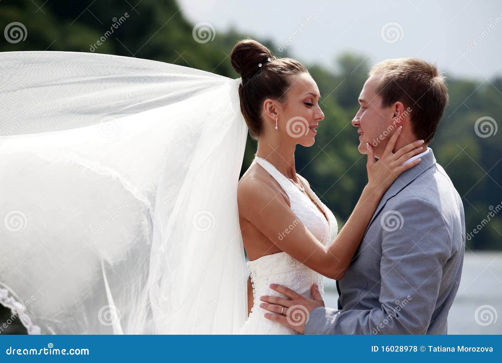 Newly-married couple stock photo. Image of couple, beautiful - 16028978