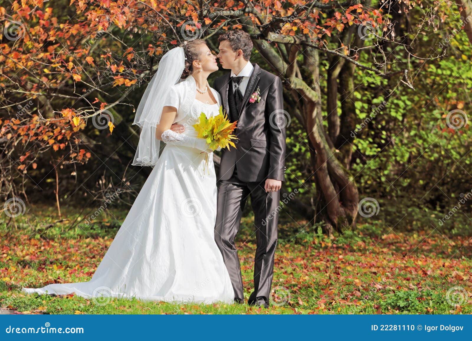 The newly married couple stock photo. Image of girl, love - 22281110