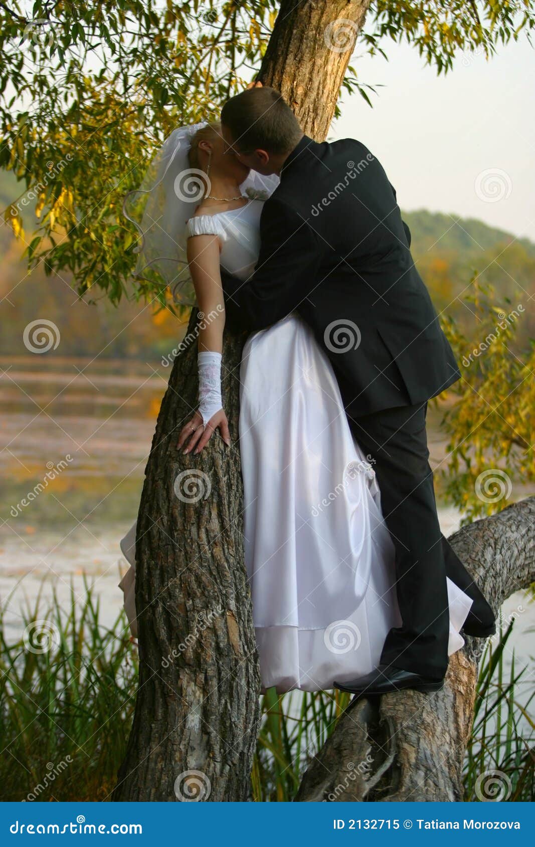 Newly married pair stock image. Image of happy, hold, sensual - 2132715