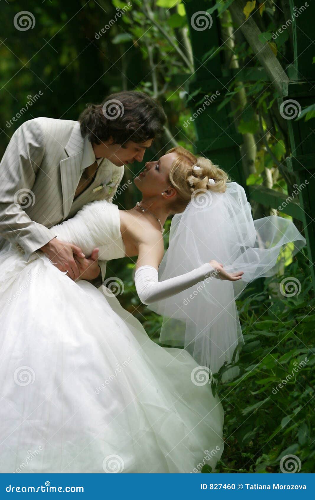 Newly married pair stock photo. Image of lovers, flowers - 827460