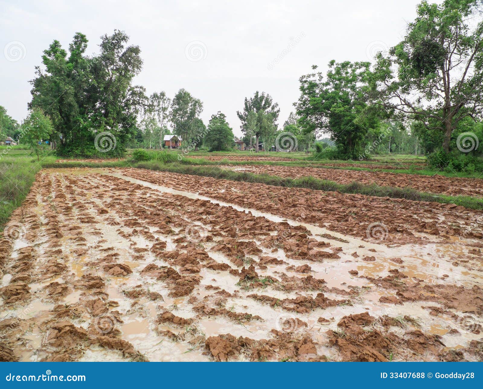 Newly plowed field stock photo. Image of sunshine, fertile - 33407688