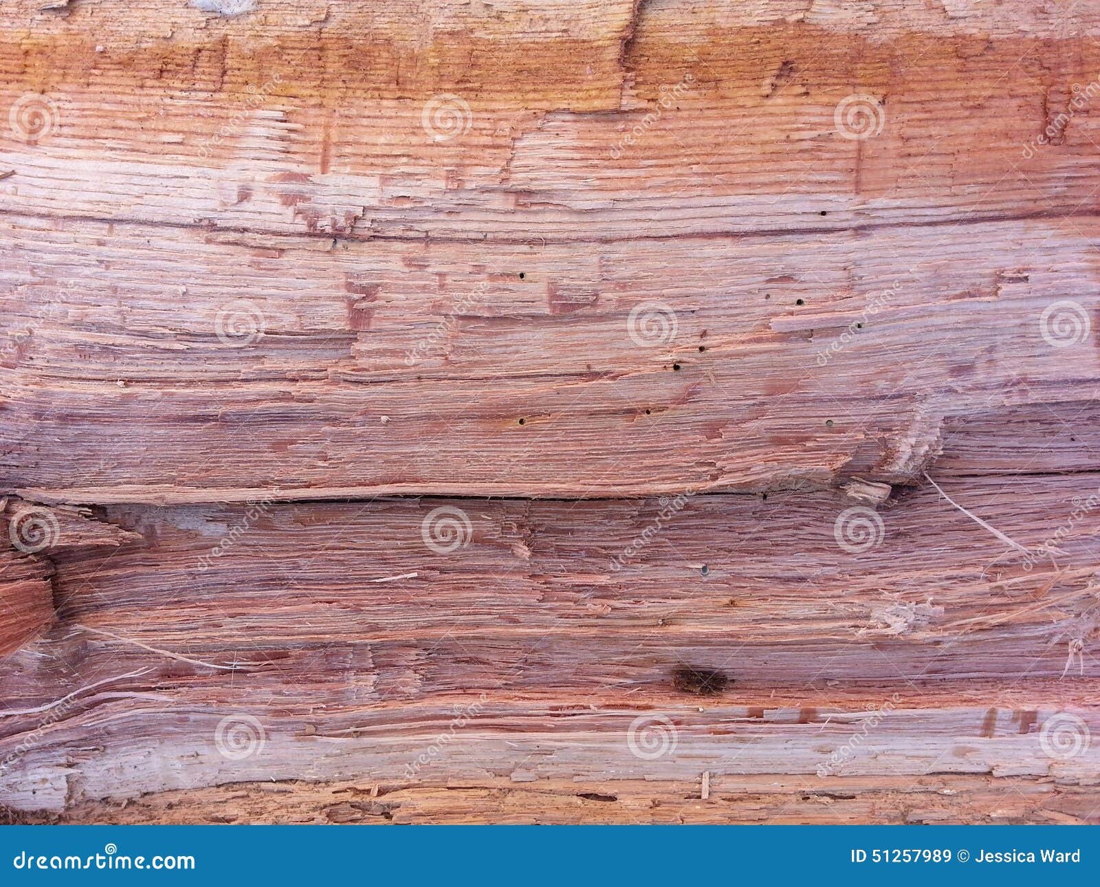 Newly Split wood stock image. Image of countryliving - 51257989