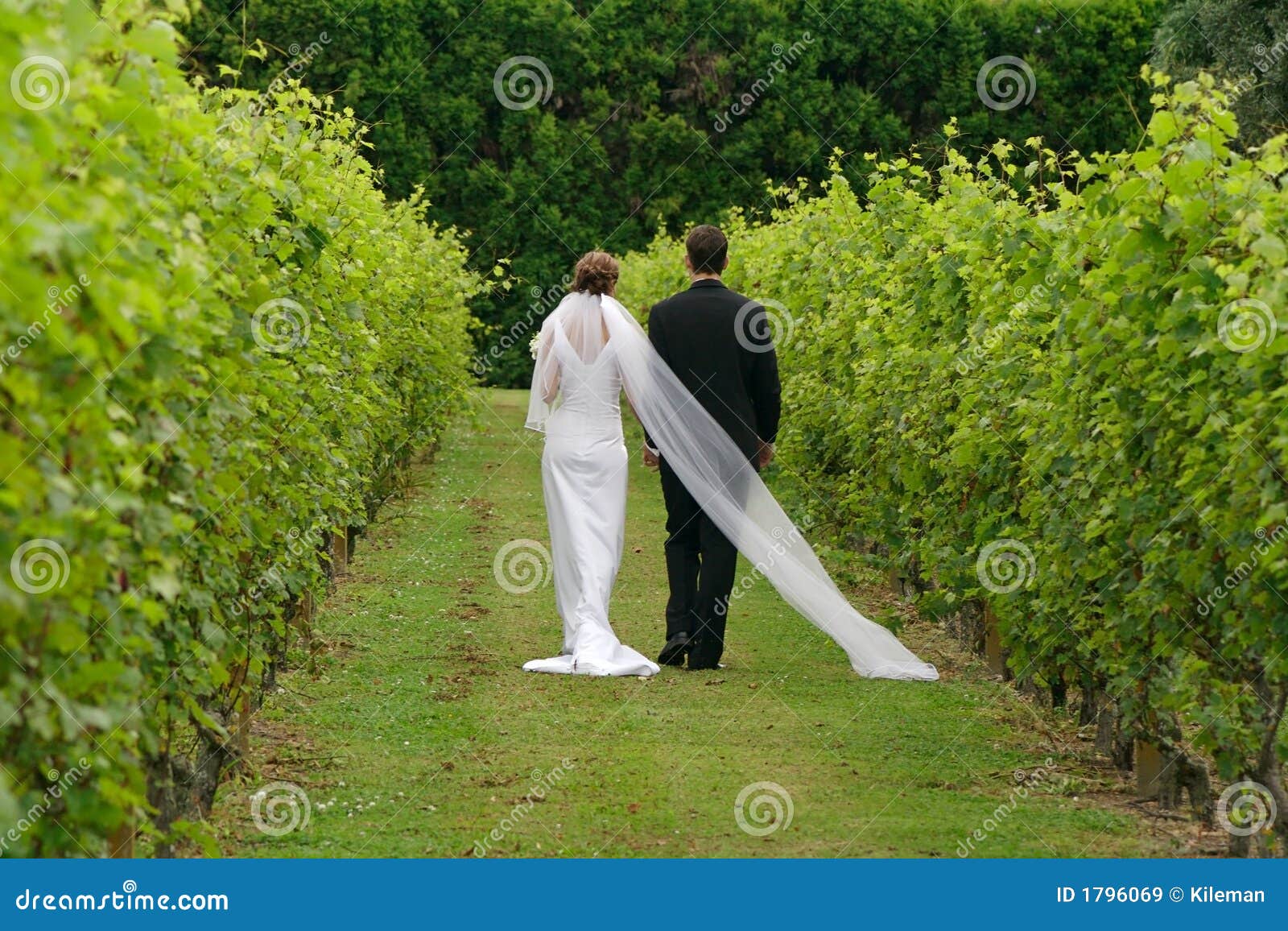 Newly wed couple stock image. Image of celebration, beautiful - 1796069