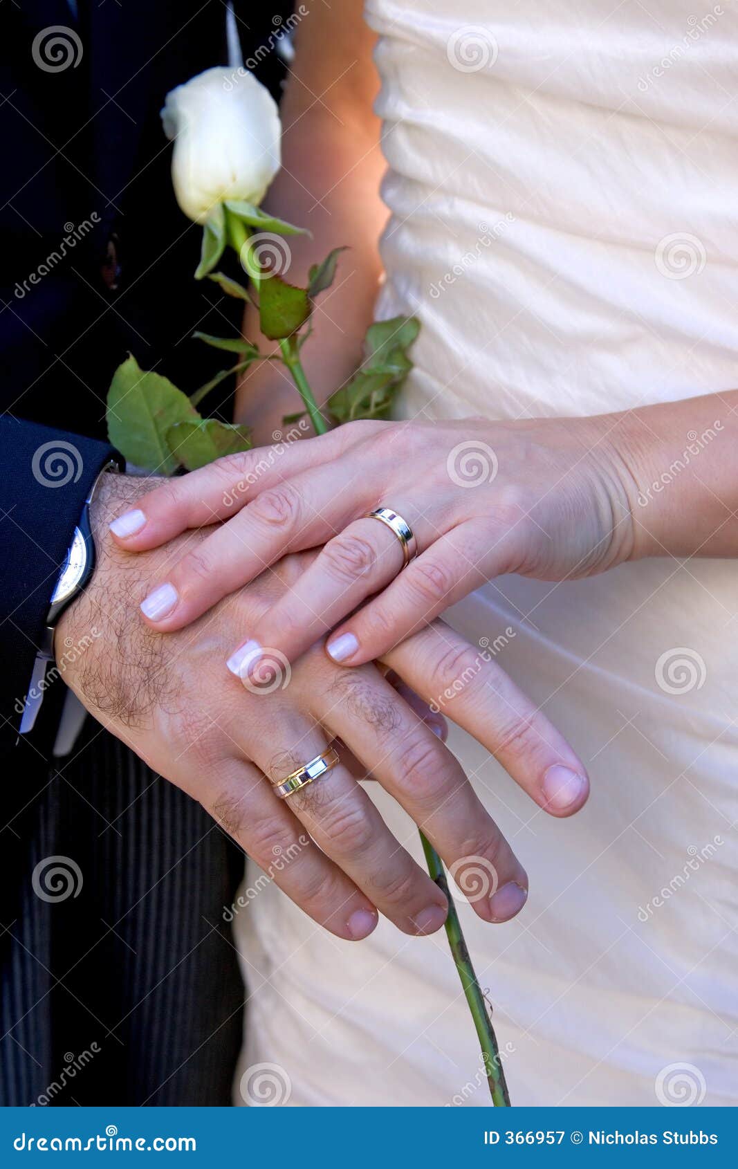 Newly Wed Couple Showing Off Rings Stock Image - Image of petal, newly ...