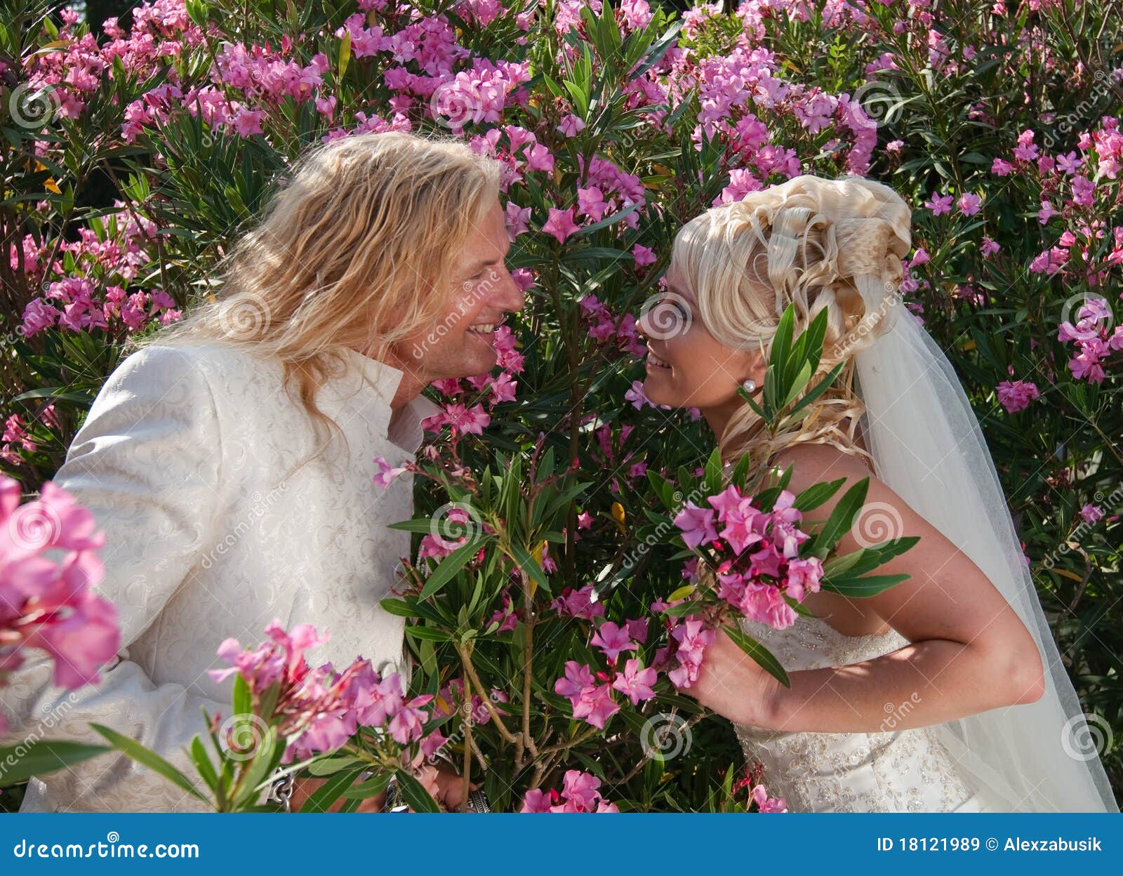 Newly Wedded Couple in the Park Stock Image - Image of coiffure, couple ...