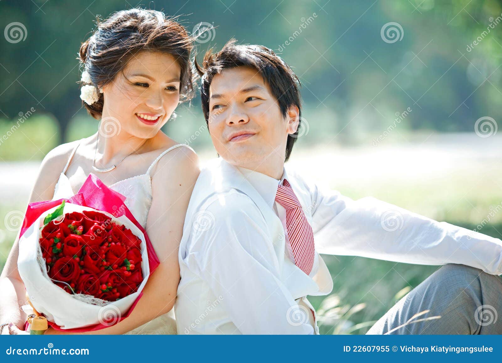 Newly wedding couples stock image. Image of meadows, groom - 22607955
