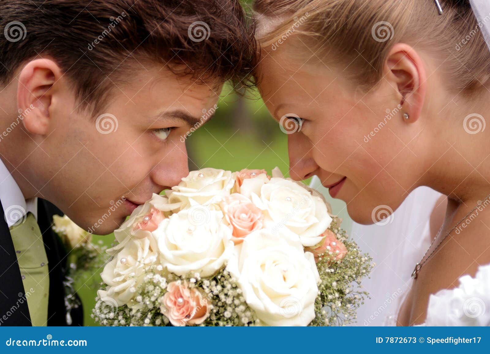 Newlywed look of love stock image. Image of female, newlywed - 7872673