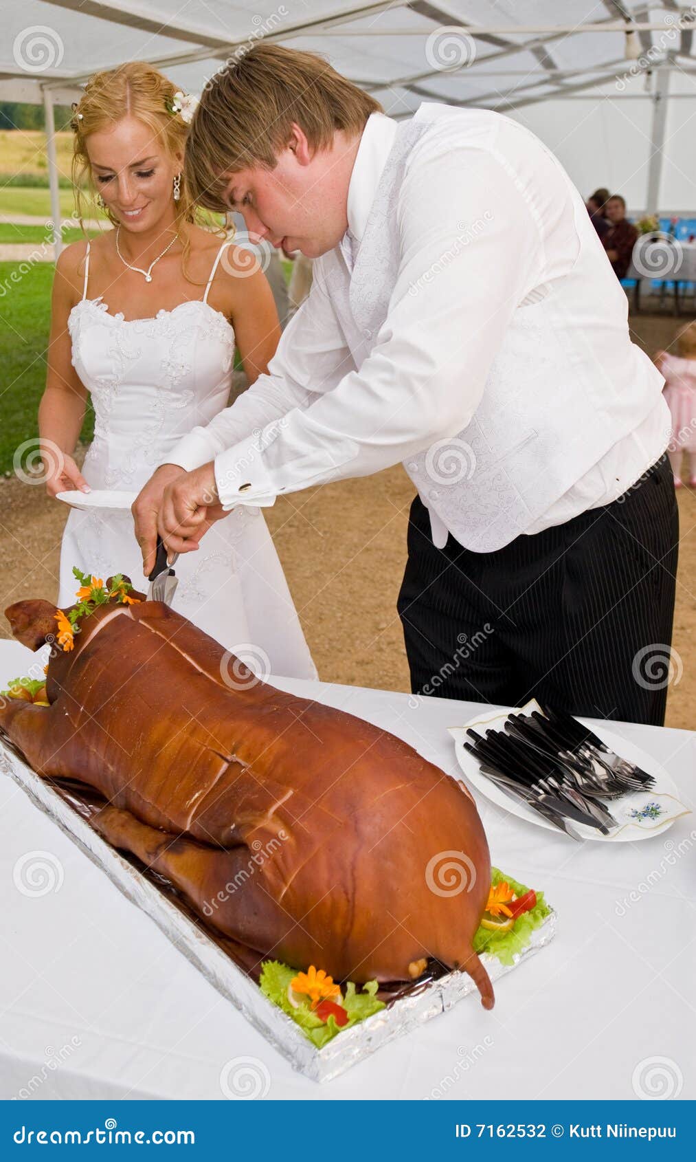 Newlyweds Cutting Whole Pig Stock Photo - Image of pork, cooking: 7162532