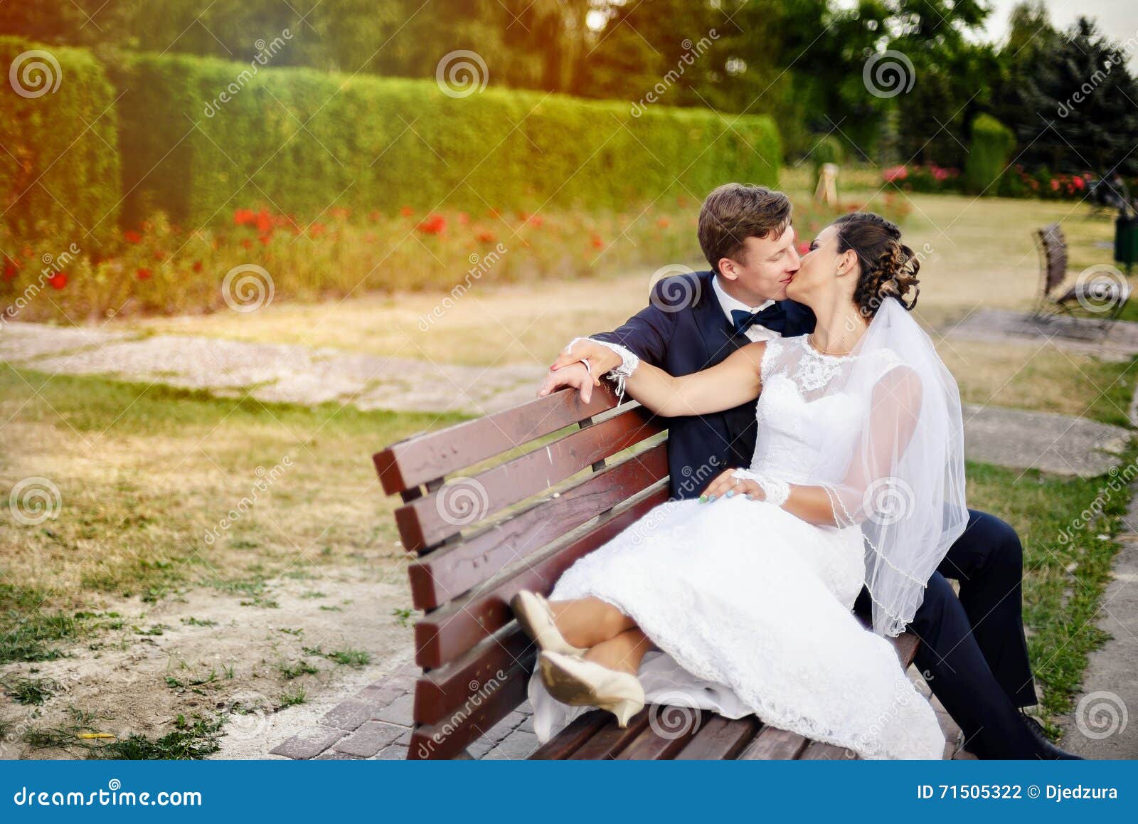 Newlyweds Kissing at Bench in Park. Stock Photo - Image of event, dress ...