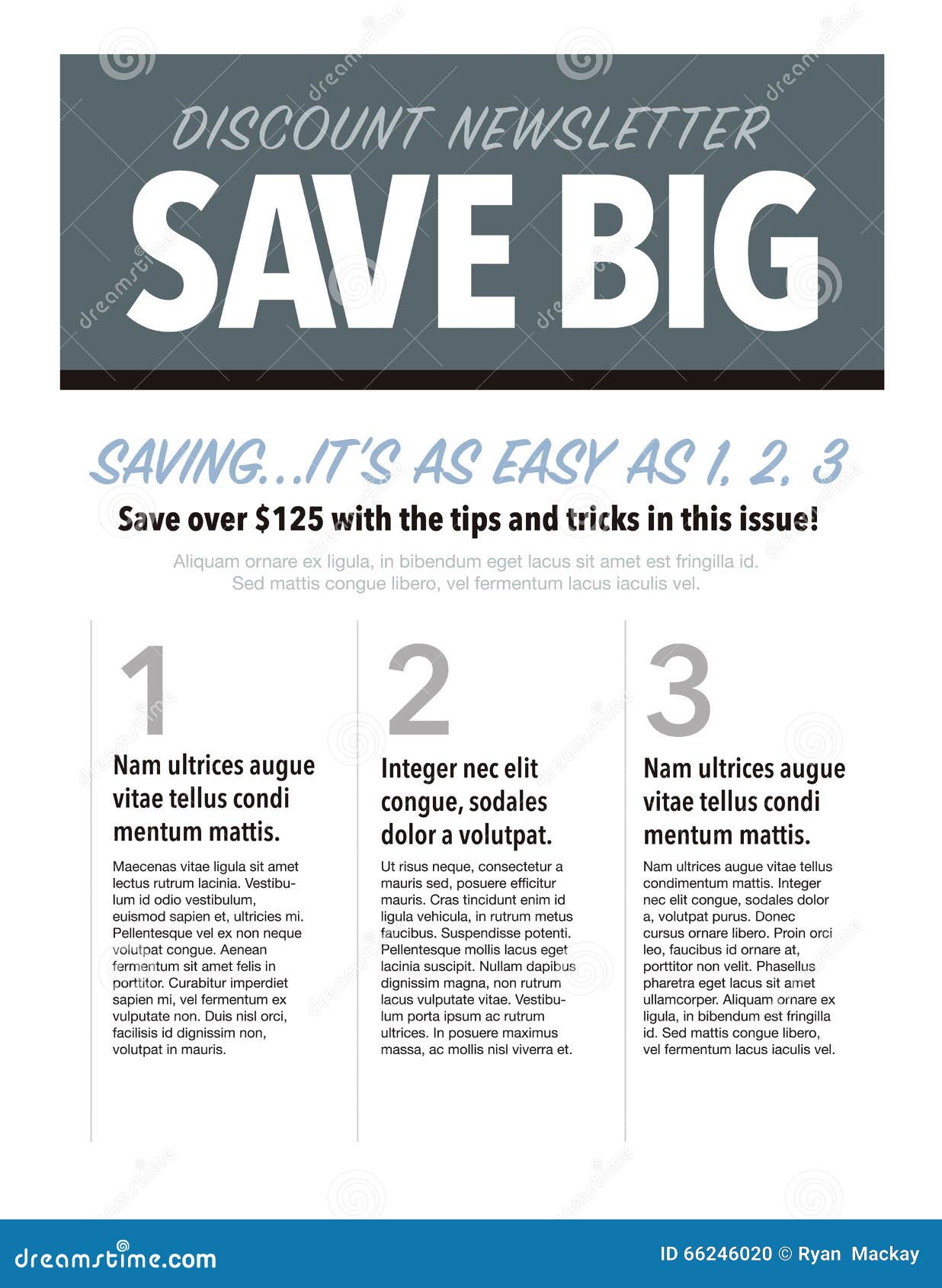 Newsletter stock vector. Illustration of design, brochure - 66246020