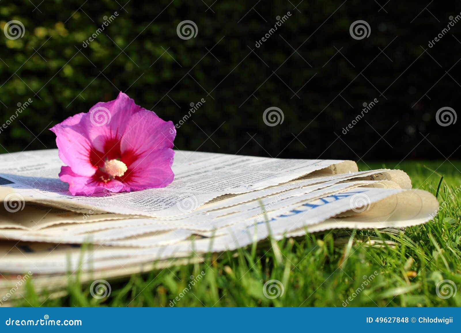 Newspaper stock photo. Image of paper, newspaper, spring - 49627848