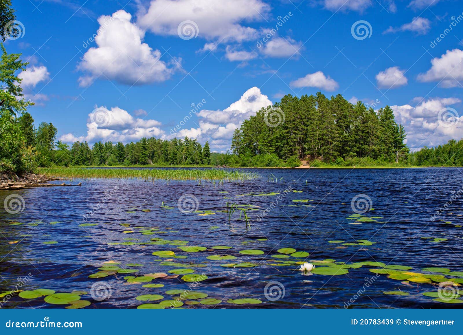 Newton Lake, Bwcaw, Minnesota Stock Image - Image of natural, tranquil ...