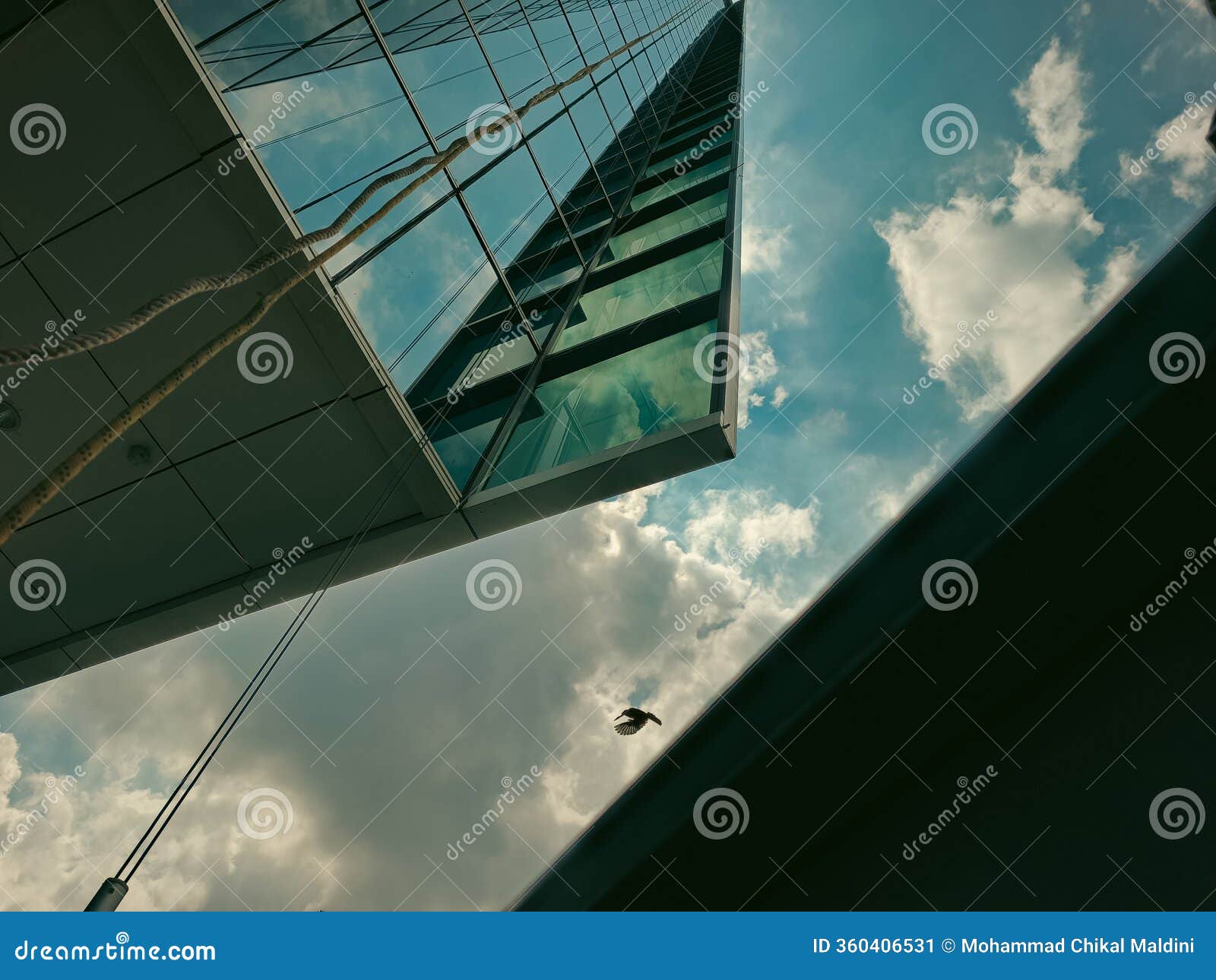 Newton& X27;s Laws and Flapping Wings: the Secret Physics Behind Bird ...