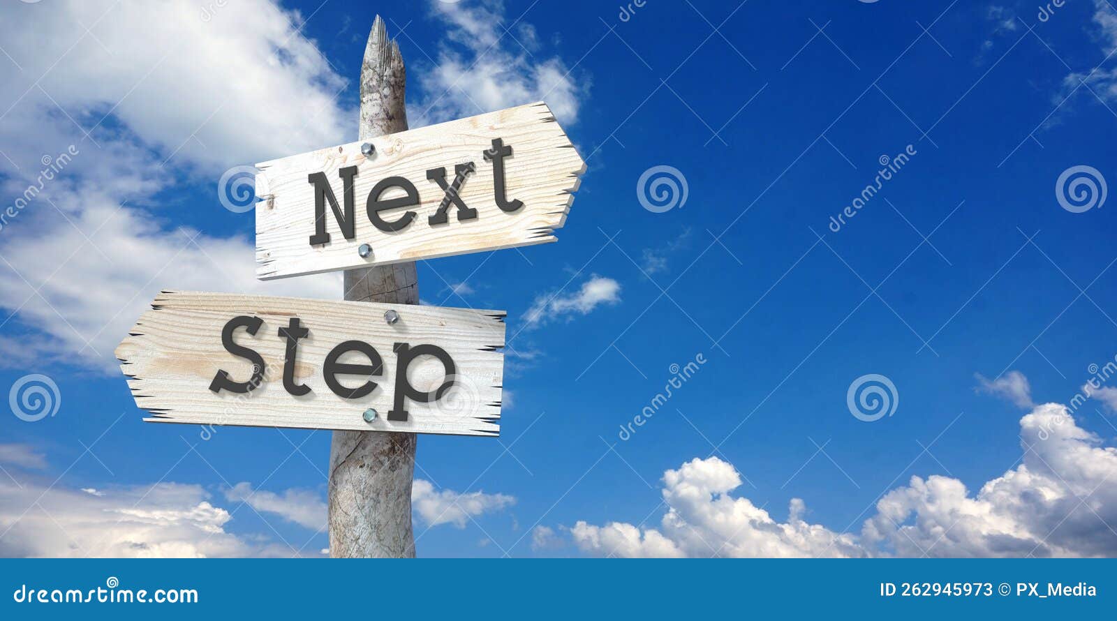 Next Step - Wooden Signpost with Two Arrows Stock Illustration ...