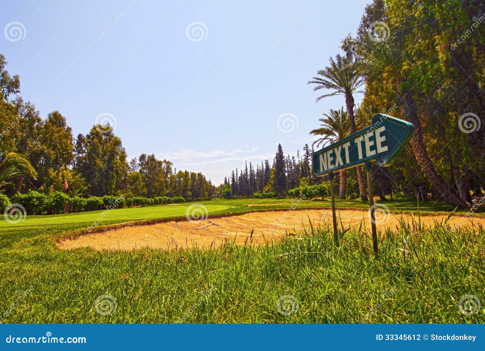 Next tee stock photo. Image of trees, nature, tree, winner - 33345612