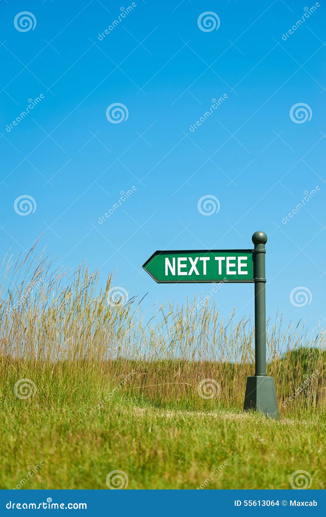 Next tee sign stock photo. Image of green, play, golf - 55613064