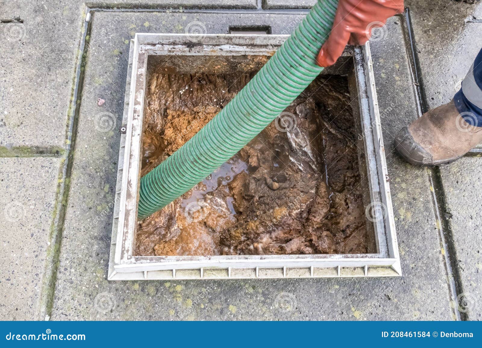 Cesspool In The Garden. Composting A Bunch Of Rotting Food Waste, Plant ...