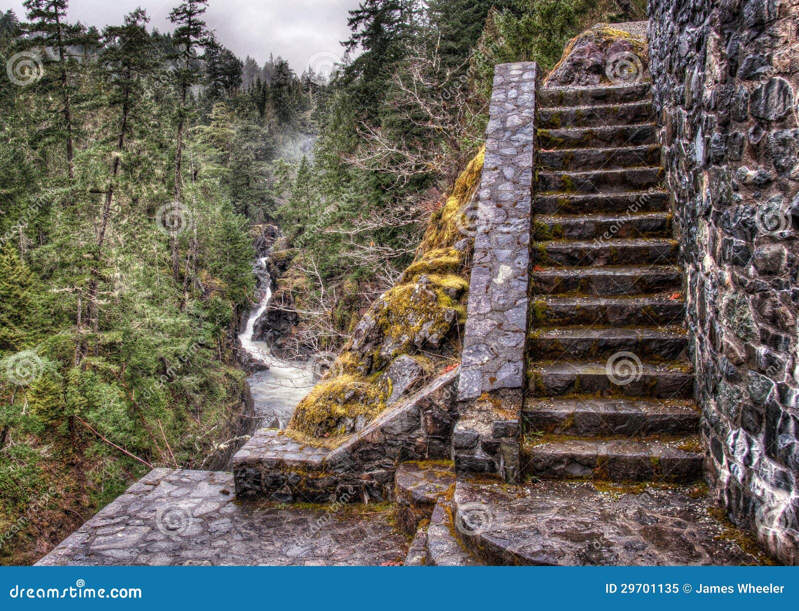 Stone Stairs in Forest Next To River Stock Image - Image of natural ...