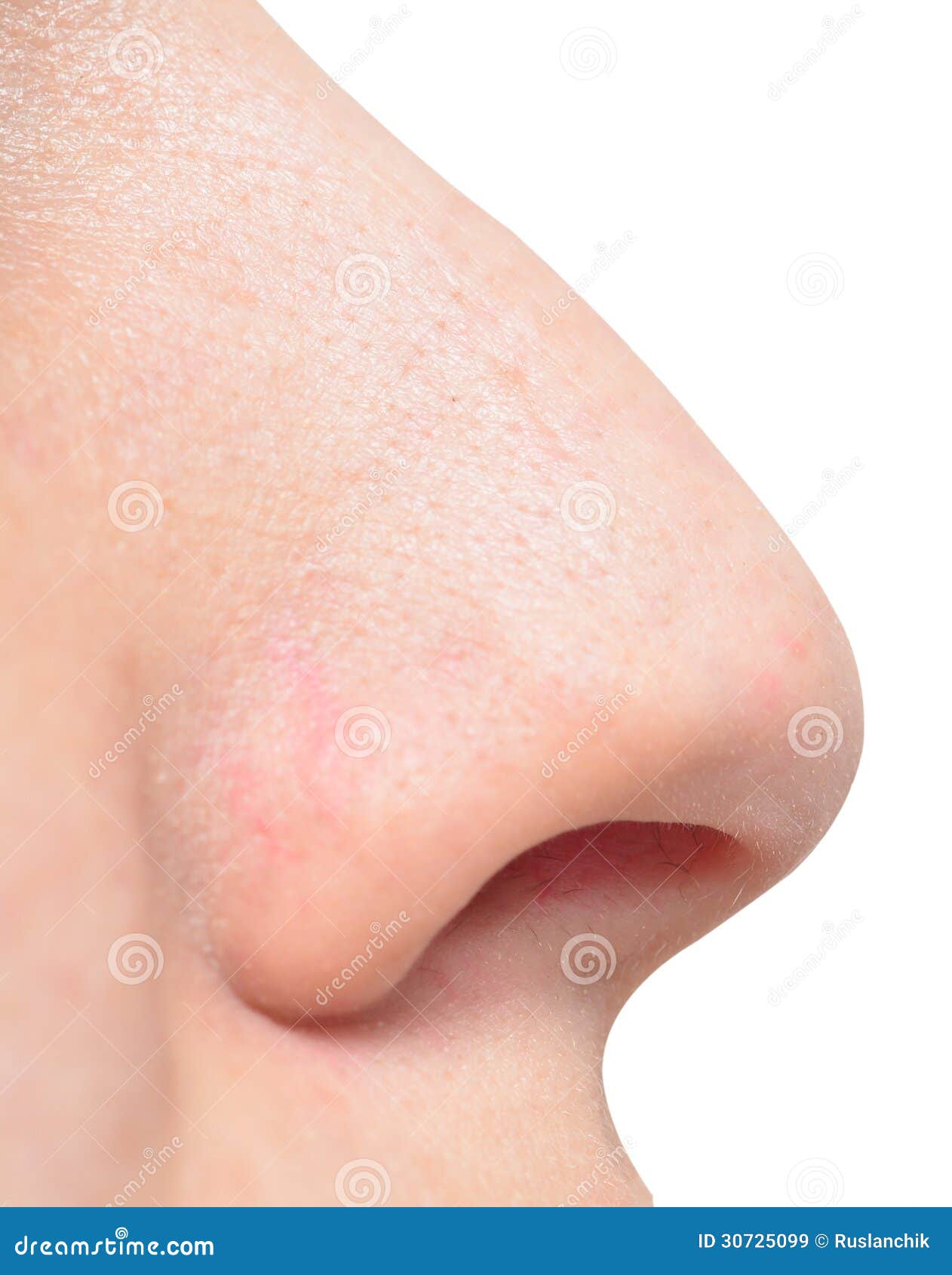 Nez humain image stock. Image du normal, trous, peau - 30725099