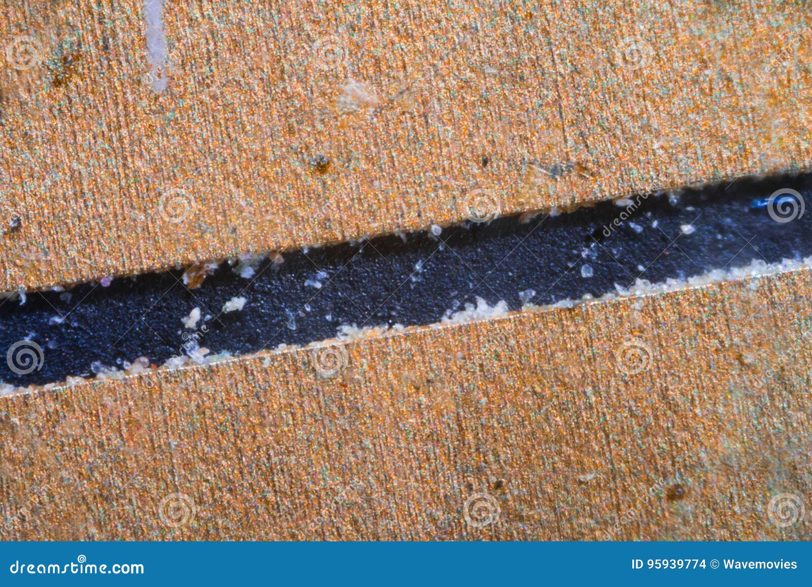 NFC Chip Under the Microscope Stock Photo - Image of card, futuristic ...