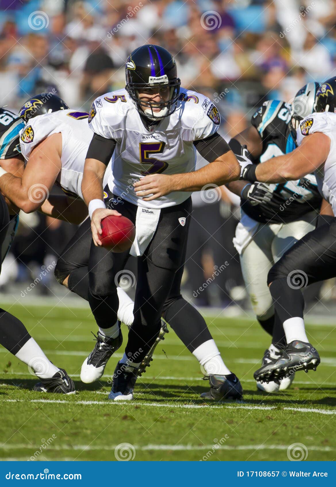 NFL: Nov 21 Baltimore Ravens Vs Carolina Panthers Editorial Photography ...