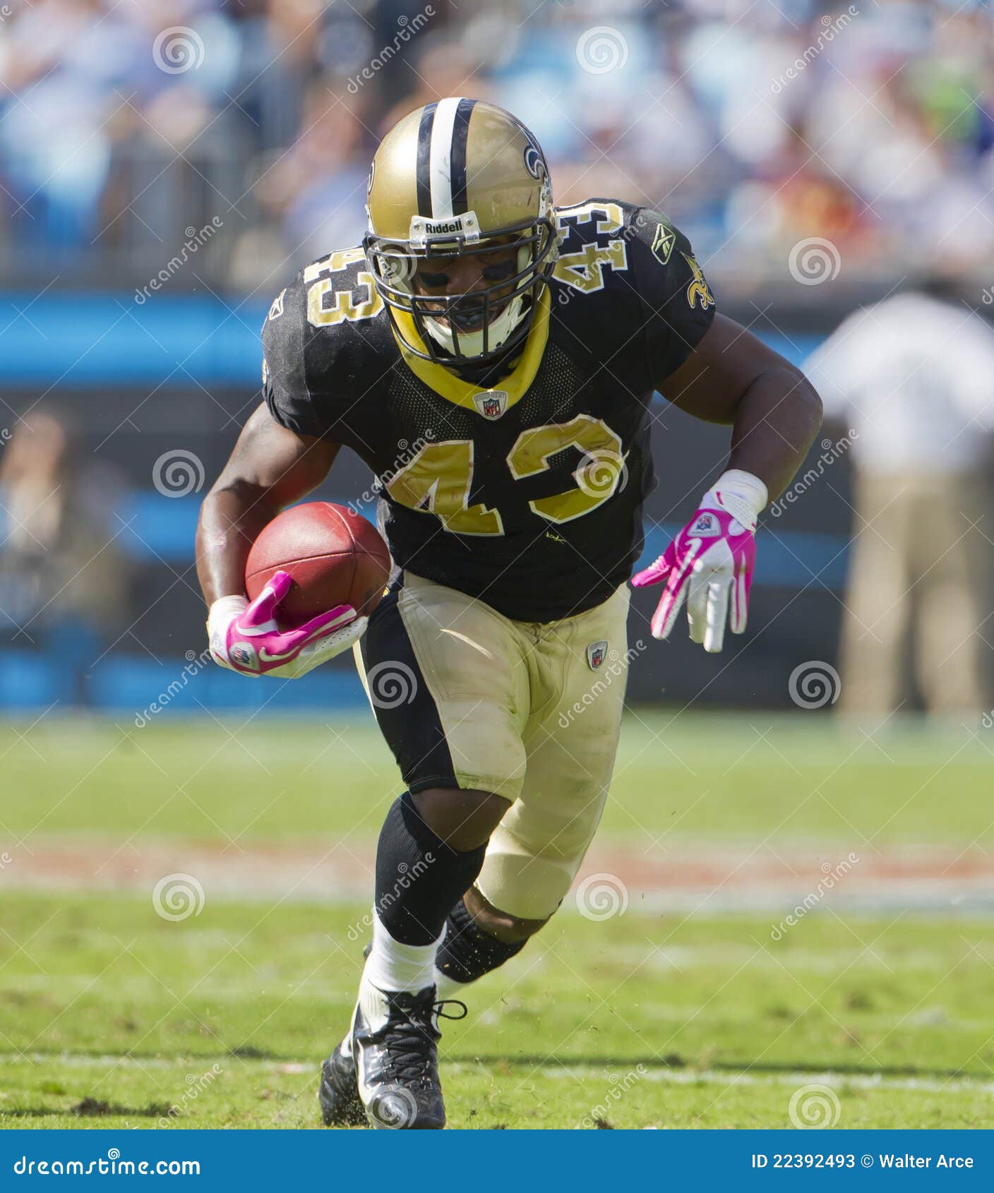 NFL: Oct 09 Saints Vs Panthers Editorial Stock Photo - Image of bank ...