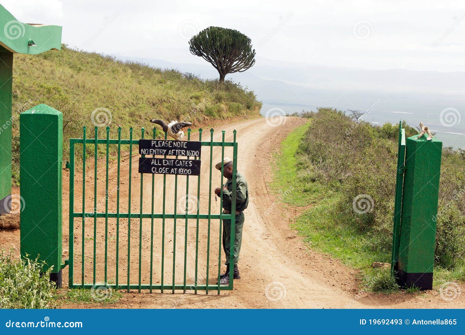 Ngorongoro Crater gate editorial stock photo. Image of savanna - 19692493