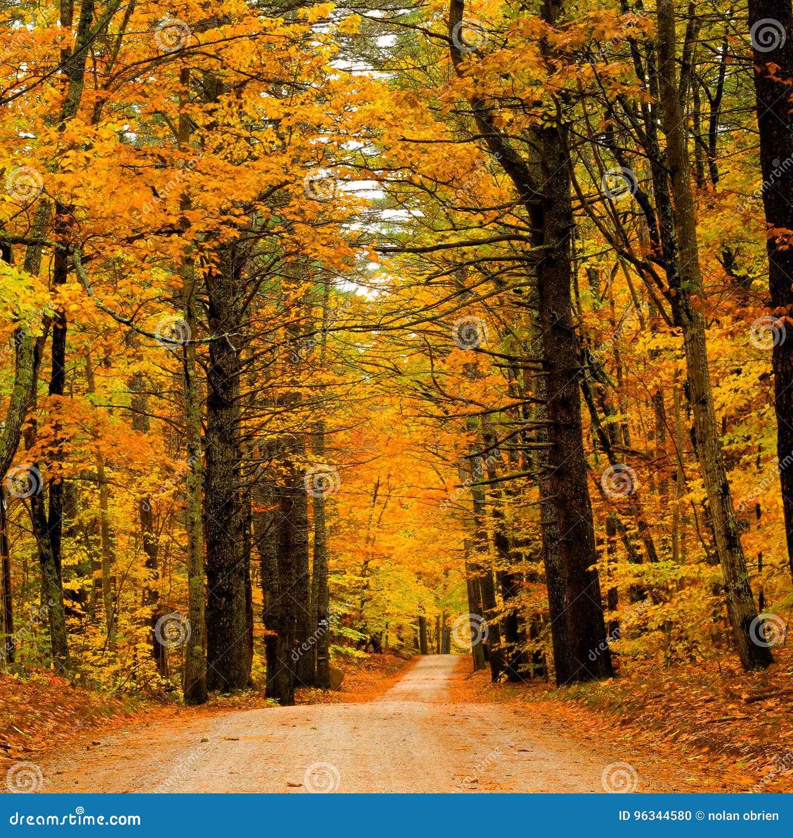 NH Fall stock photo. Image of foliage, fall, dirt, road - 96344580