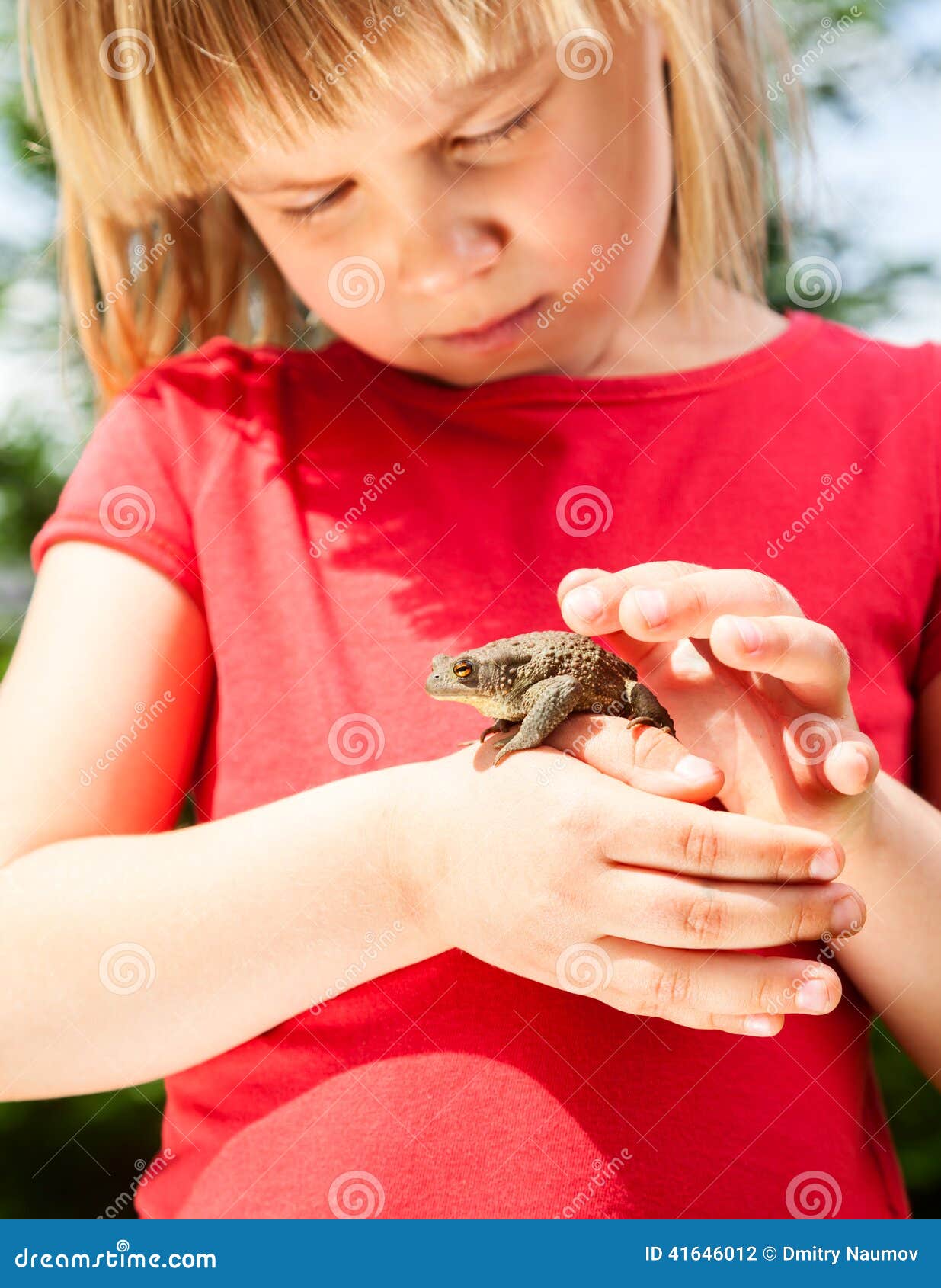 Niño con la rana foto de archivo. Imagen de mirando, muchacha - 41646012