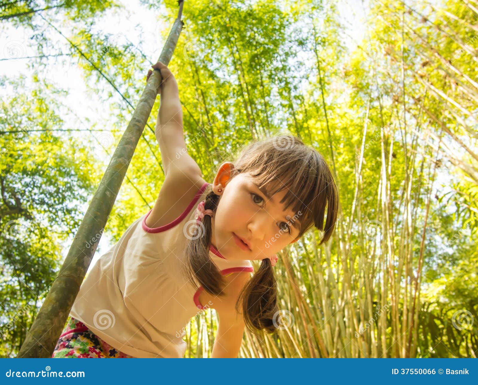 Niño en la selva foto de archivo. Imagen de selva, verde - 37550066