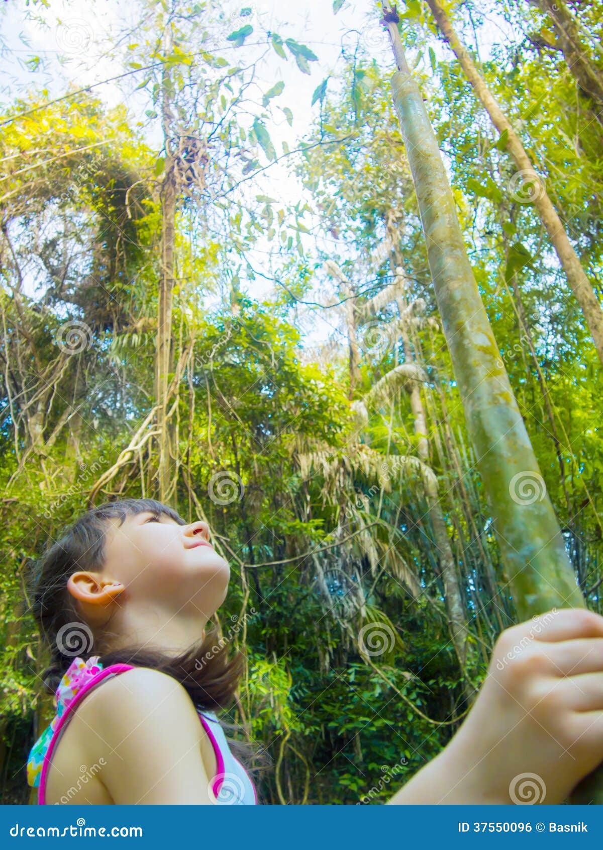 Niño en la selva foto de archivo. Imagen de feliz, bosque - 37550096