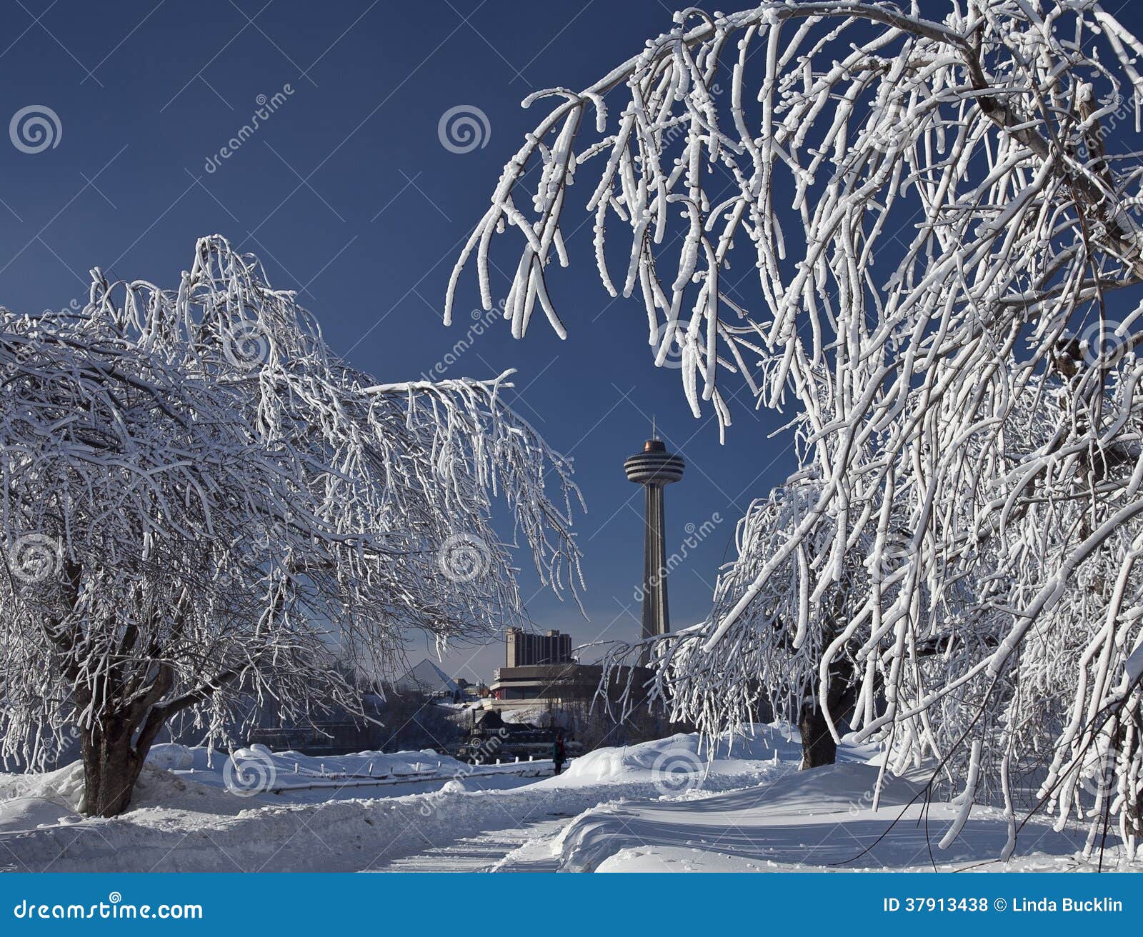Niagara Falls Rime Ice Trees 2 Stock Photo - Image of snow, wonderland ...