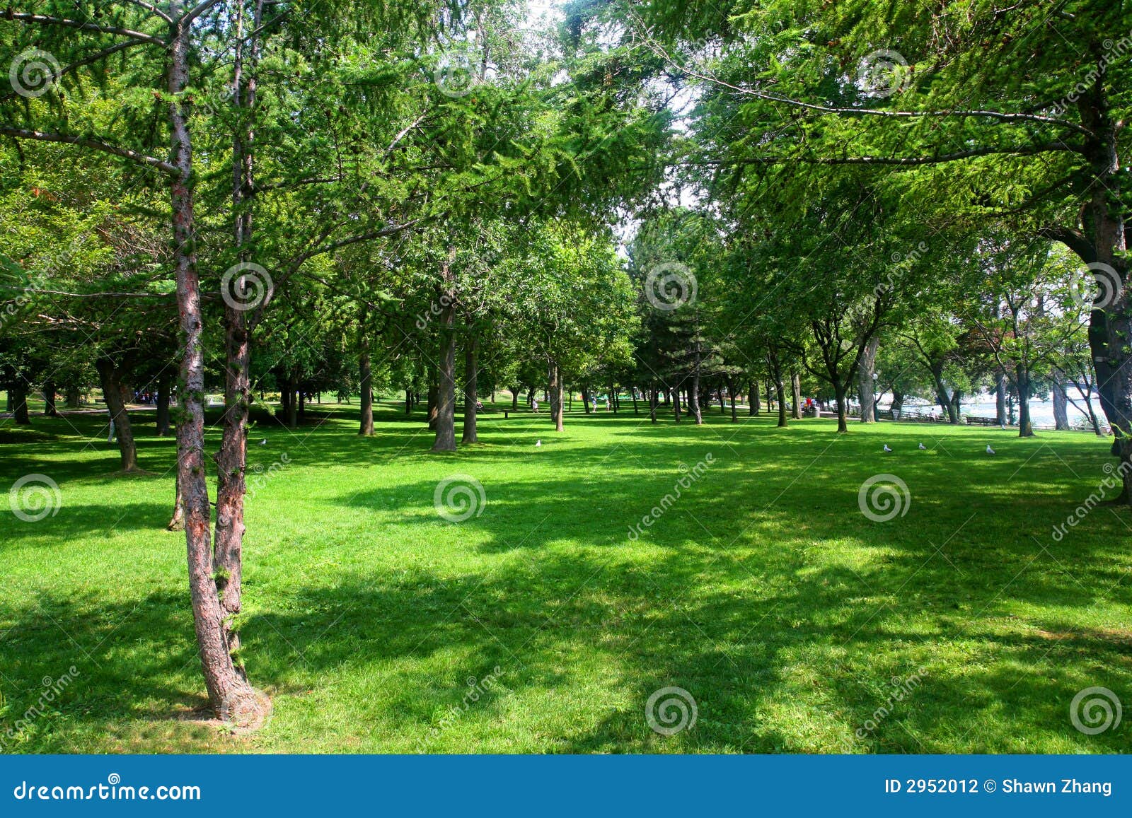 Niagara Falls Shadow Stock Photos - Free & Royalty-Free Stock Photos ...