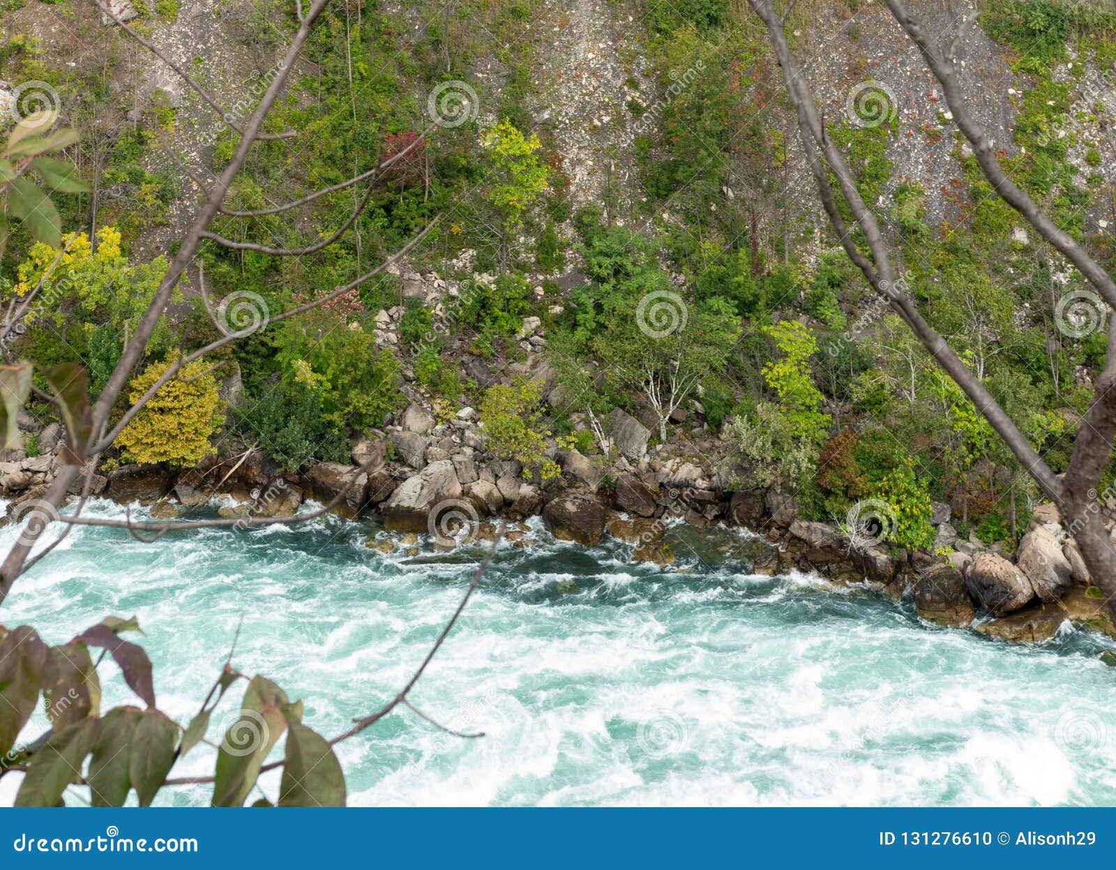 Niagara River Flowing through Gorge with Rapids Stock Photo - Image of ...