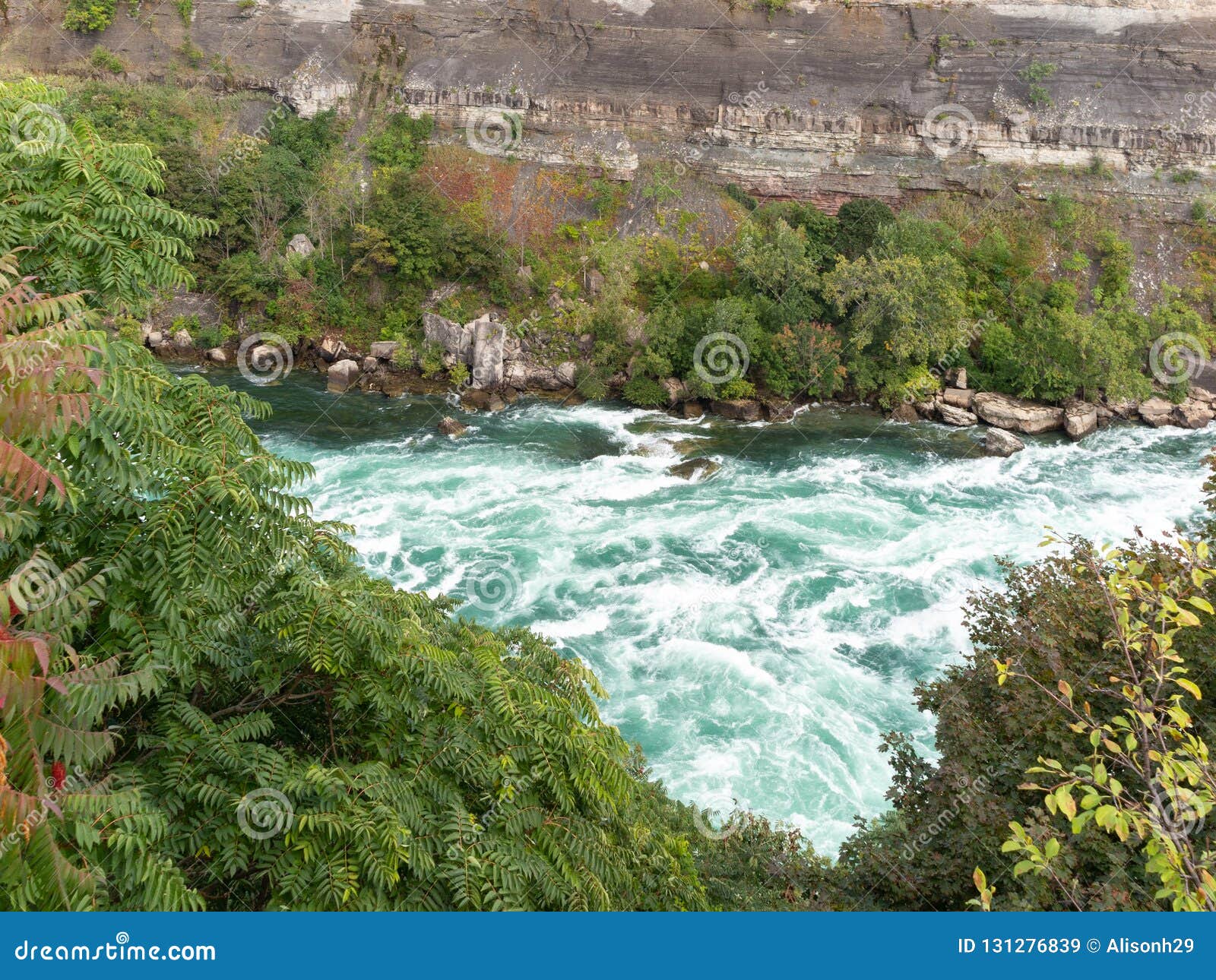 Niagara River Flowing through Gorge with Rapids Stock Image - Image of ...