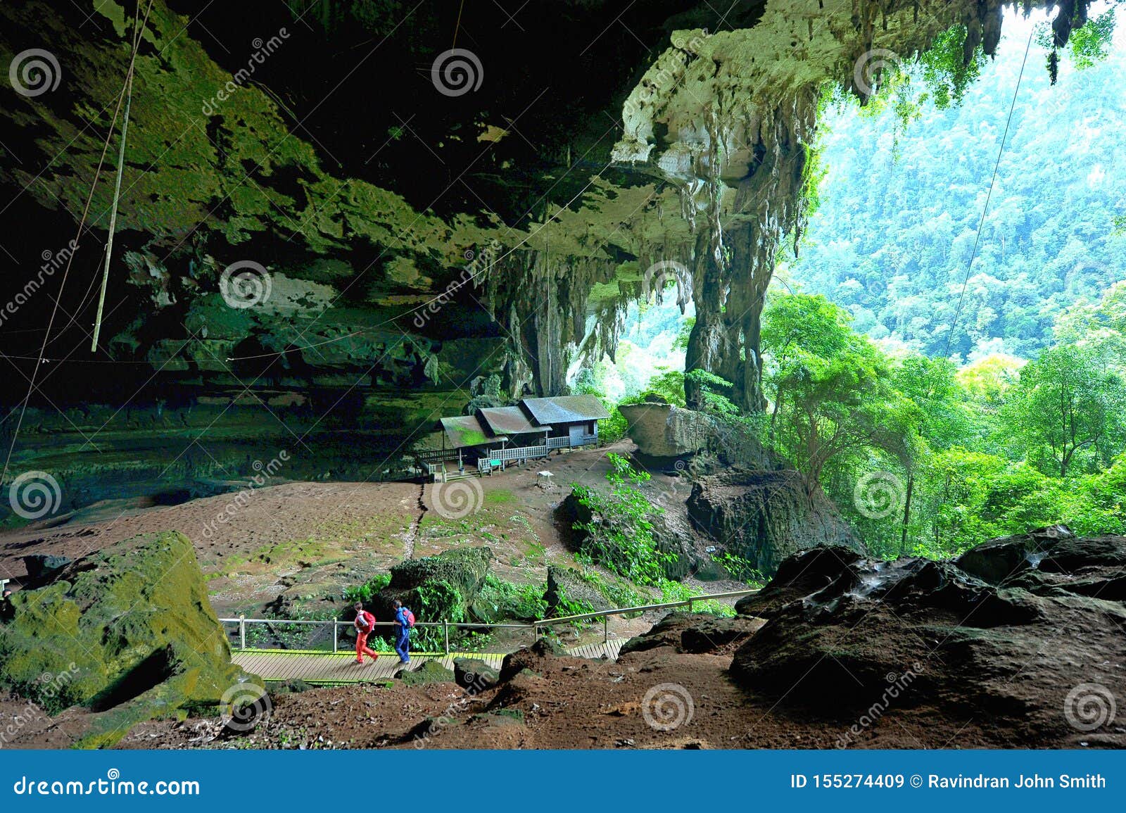 Niah National Park editorial stock image. Image of miri - 155274409