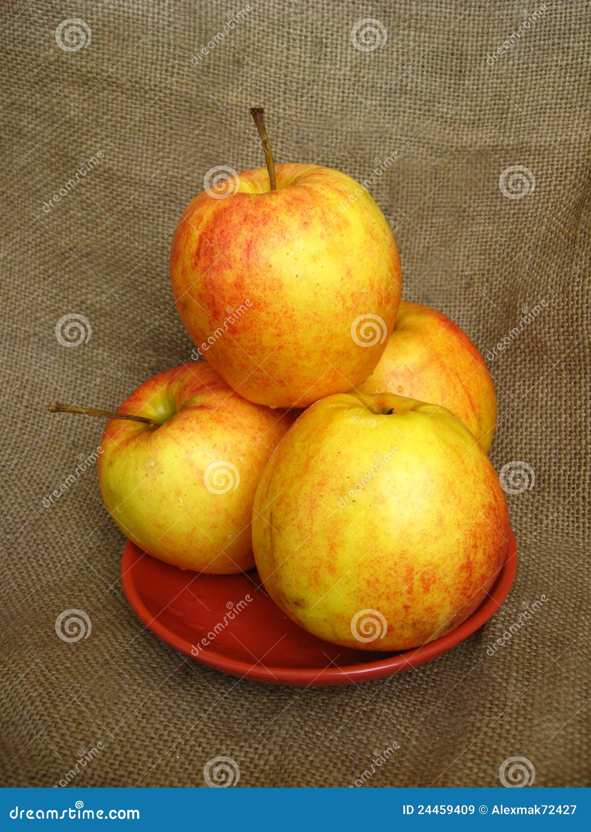 Nice apples on the plate stock image. Image of bright - 24459409
